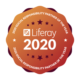 Liferay Solutions | Veriday Professional Services